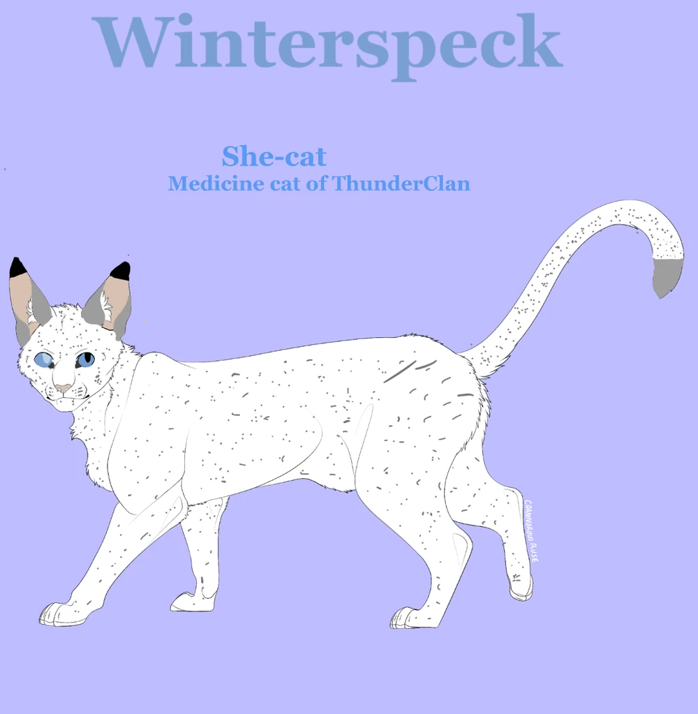Winterspeck | Warriors OC's Wiki | Fandom