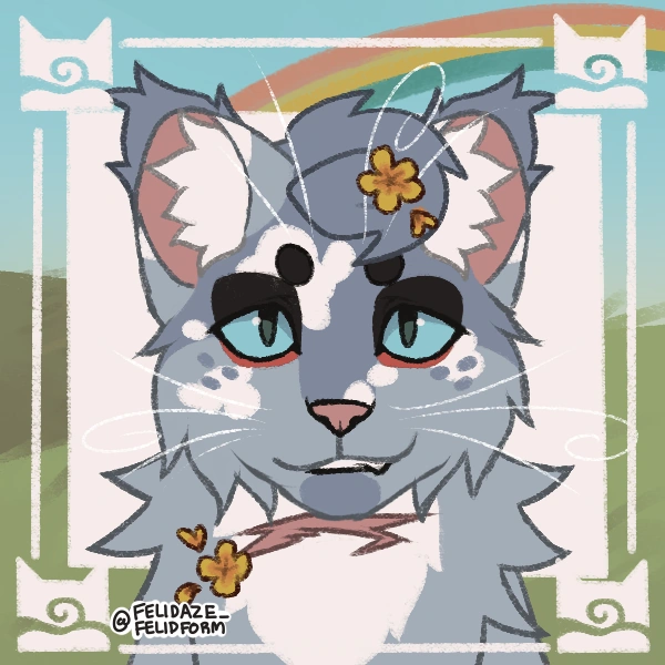 Bluefawn | Warriors OC's Wiki | Fandom