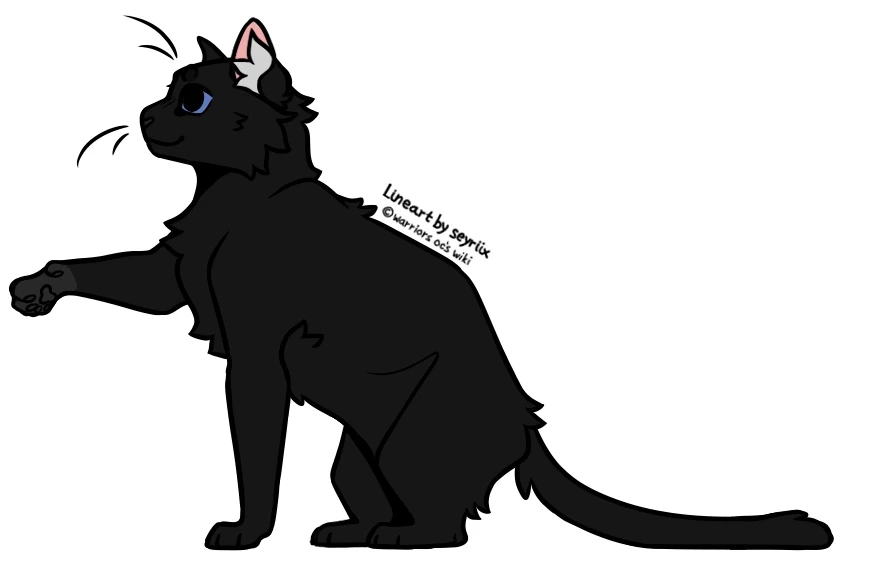 Crowfur | Warriors OC's Wiki | Fandom