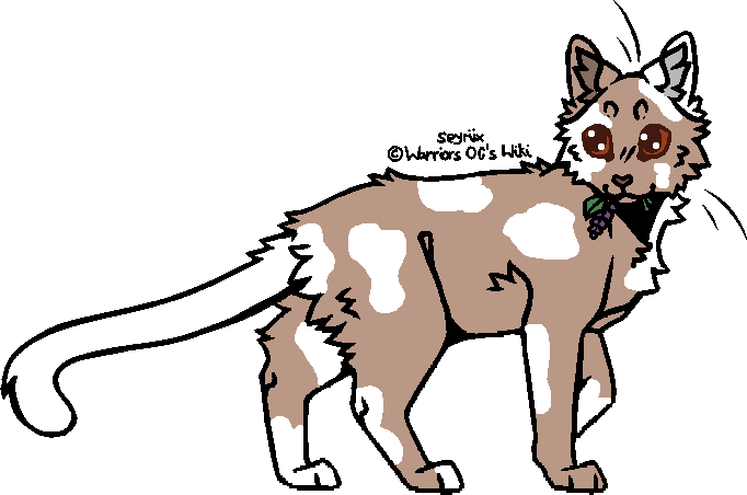 Rockspeckle (RWTW) | Warriors OC's Wiki | Fandom