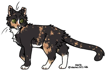 Brambleshade (TC) | Warriors OC's Wiki | Fandom