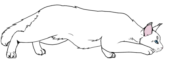 Cloudwing | Warriors OC's Wiki | Fandom