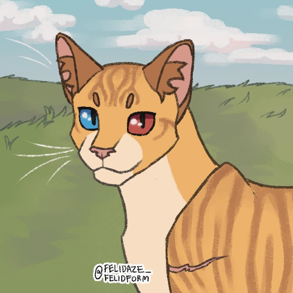 Firestar (LF'S C) | Warriors OC's Wiki | Fandom