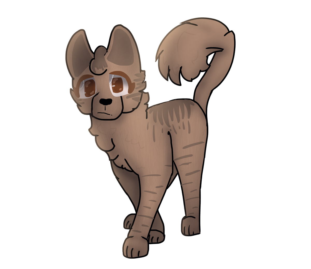 Mudleap Tc Warriors Ocs Wiki Fandom