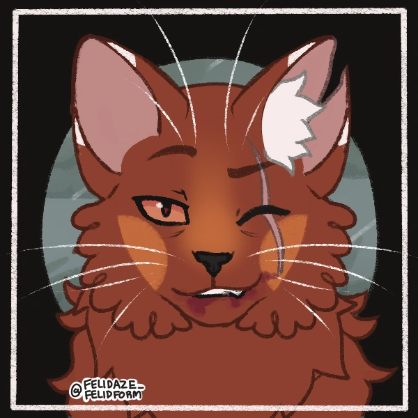 Sunburn | Warriors OC's Wiki | Fandom