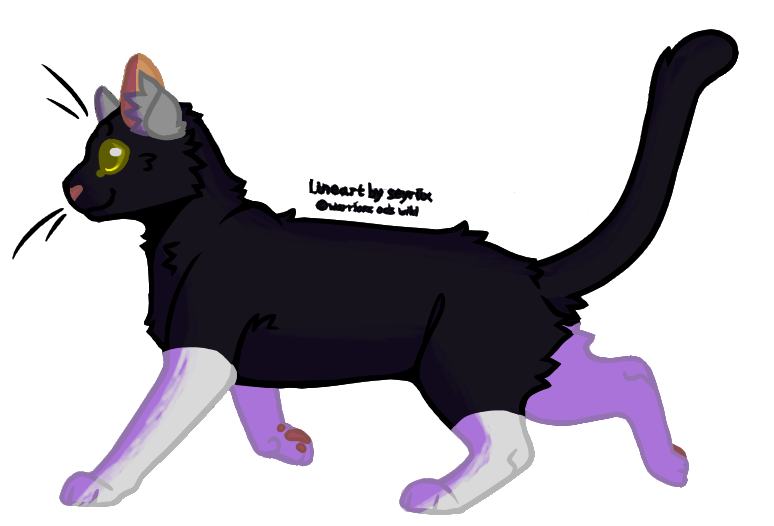 Badgerheart | Warriors OC's Wiki | Fandom
