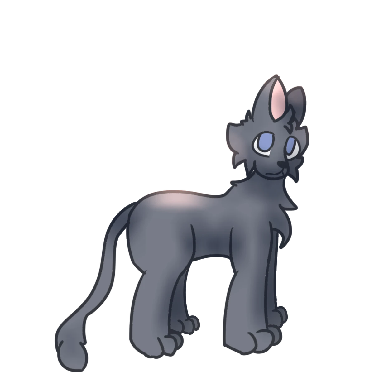 Crookedkit (SC) | Warriors OC's Wiki | Fandom