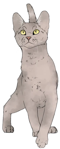 Cherrypaw (BWN) | Warriors OC's Wiki | Fandom