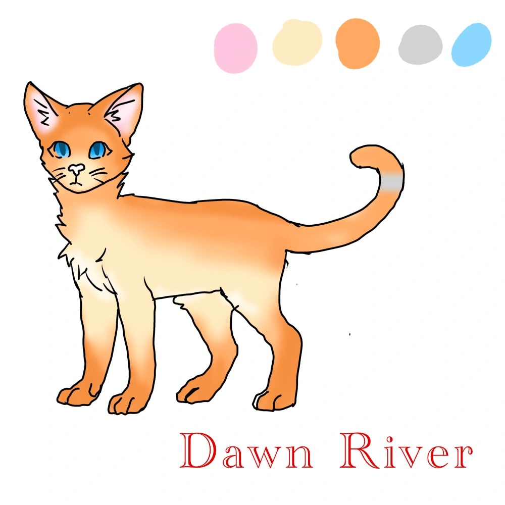 Dawn River | Warriors OC's Wiki | Fandom