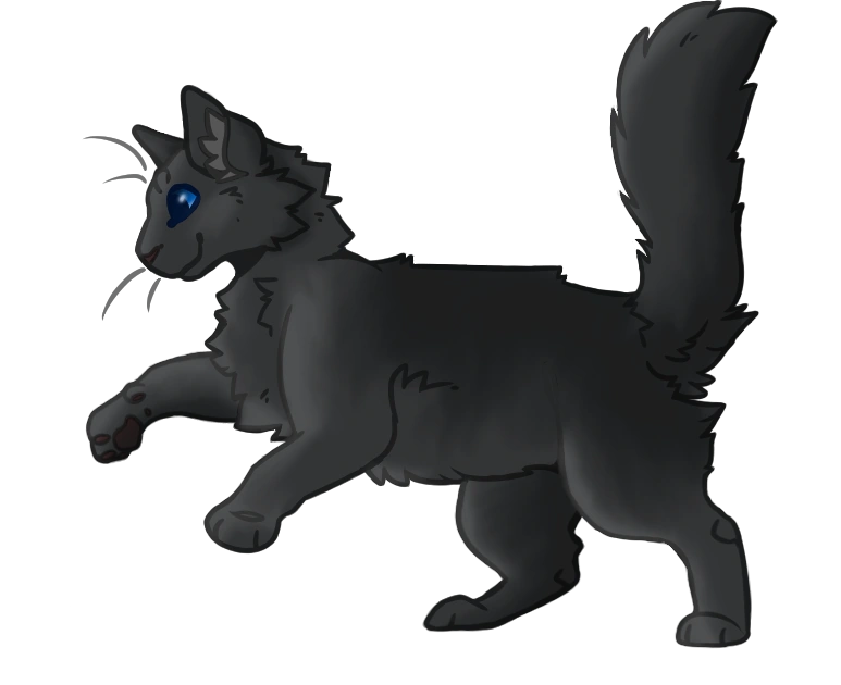 Rainsong | Warriors OC's Wiki | Fandom