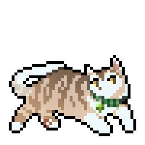 Stumpyrose | Warriors OC's Wiki | Fandom