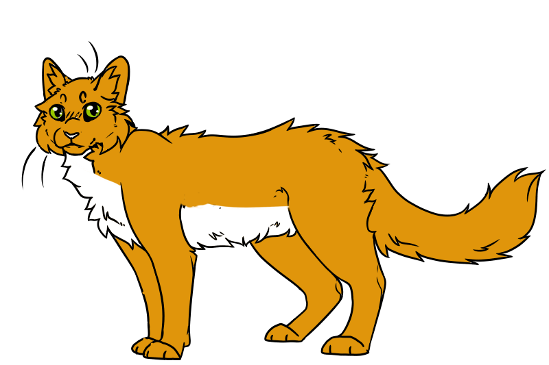 Squirrel | Warriors OC's Wiki | Fandom