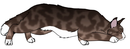 Timbersong (FS) | Warriors OC's Wiki | Fandom