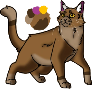 Moor | Warriors OC's Wiki | Fandom
