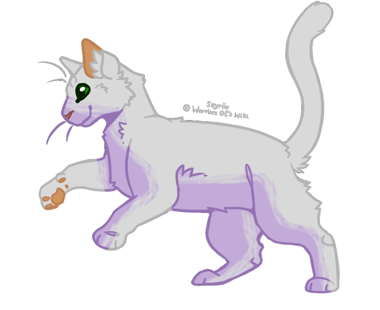 Opal-Eyes (DN) | Warriors OC's Wiki | Fandom