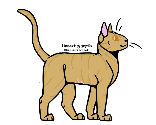 Brackendart (ShC) | Warriors OC's Wiki | Fandom