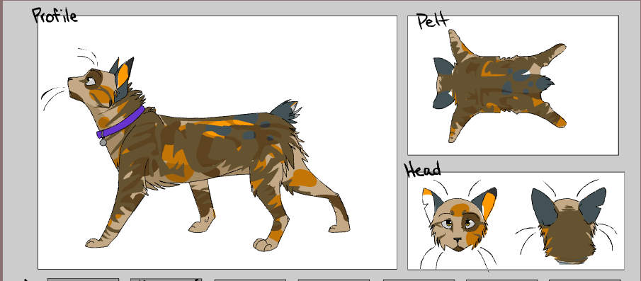 Quill and Quail | Warriors OC's Wiki | Fandom