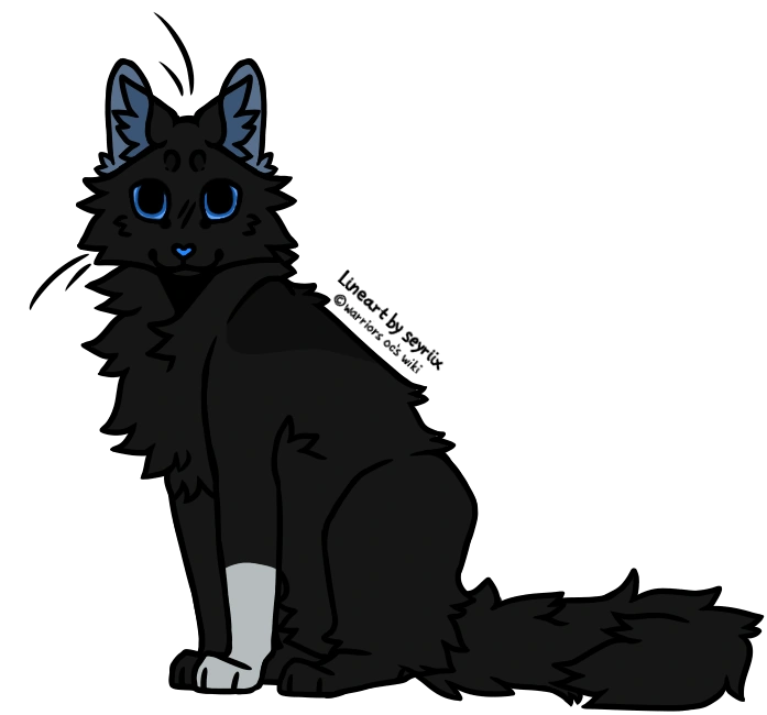 Crowstar (SC) | Warriors OC's Wiki | Fandom