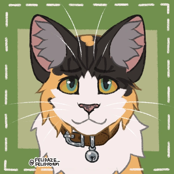 Cato | Warriors OC's Wiki | Fandom