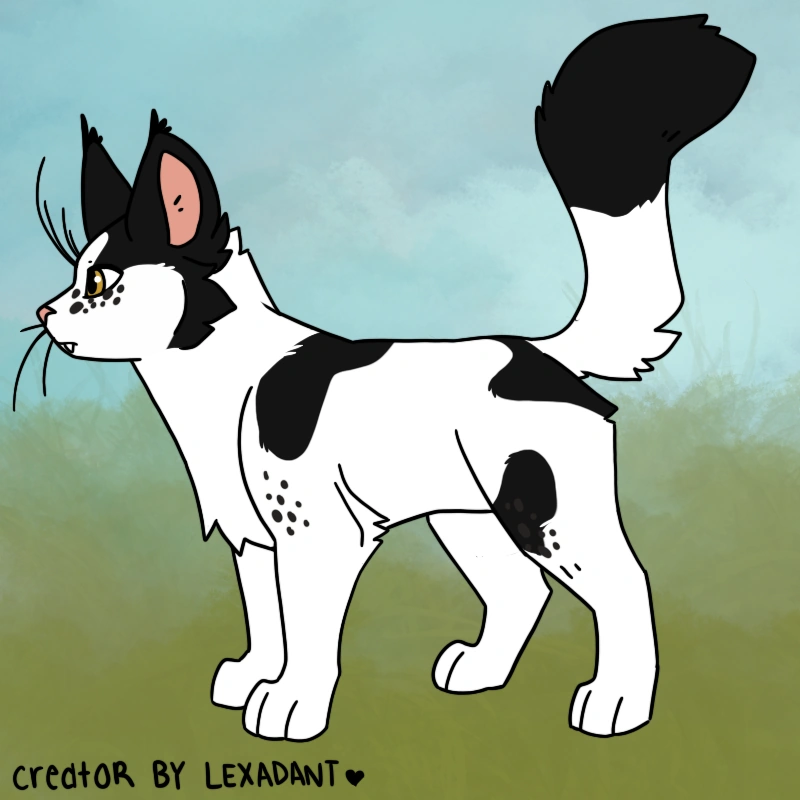 Spottedpounce | Warriors OC's Wiki | Fandom