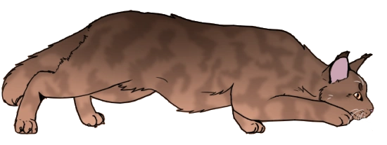 Shrewpounce (BG) | Warriors OC's Wiki | Fandom