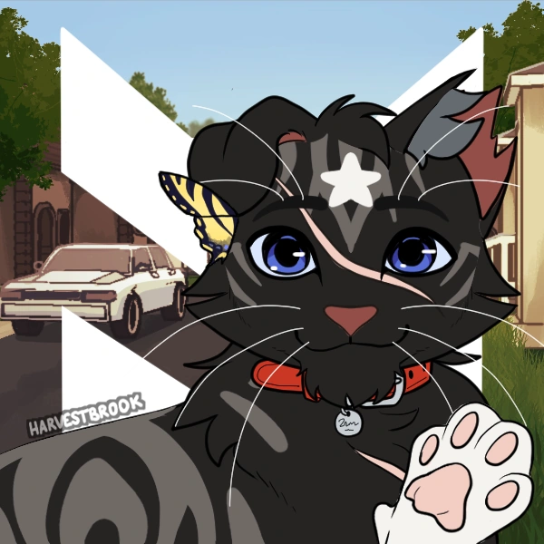 Sombra | Warriors OC's Wiki | Fandom