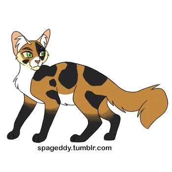 Calico (BH) | Warriors OC's Wiki | Fandom