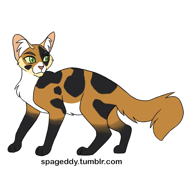 Calico (BH) | Warriors OC's Wiki | Fandom