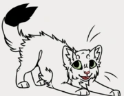 Thunderkit | Warriors OC's Wiki | Fandom