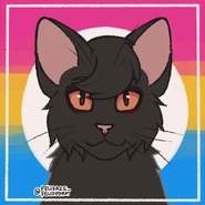 Nightdust | Warriors OC's Wiki | Fandom