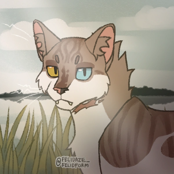 Pricklestripe | Warriors OC's Wiki | Fandom