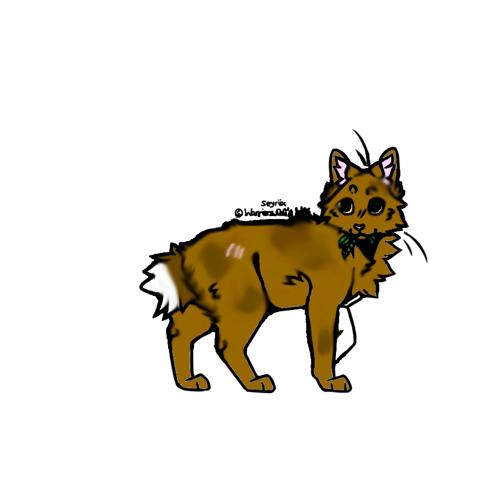 Pinerock | Warriors OC's Wiki | Fandom