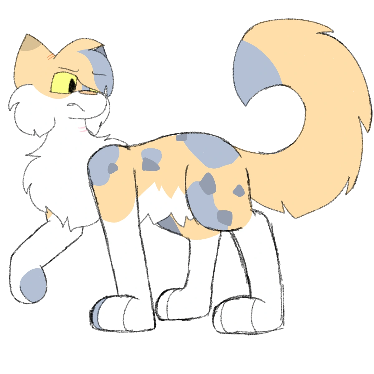 Sageskip (TDitD) | Warriors OC's Wiki | Fandom