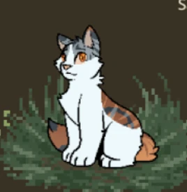 Redstar (TSoS) (CLANGEN) | Warriors OC's Wiki | Fandom