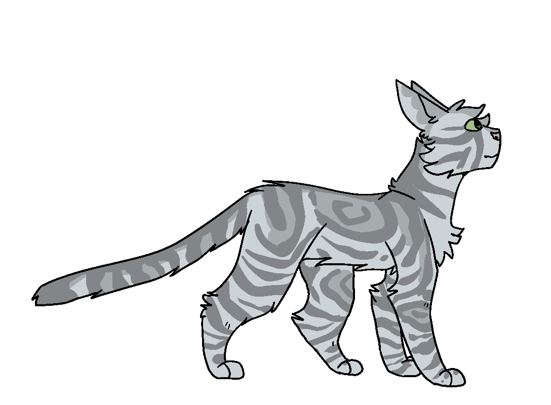 Echo (WF) | Warriors OC's Wiki | Fandom