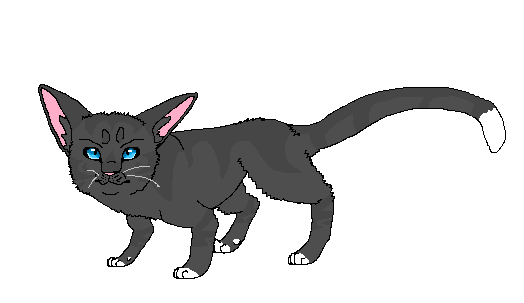 Stormflight (MC) | Warriors OC's Wiki | Fandom