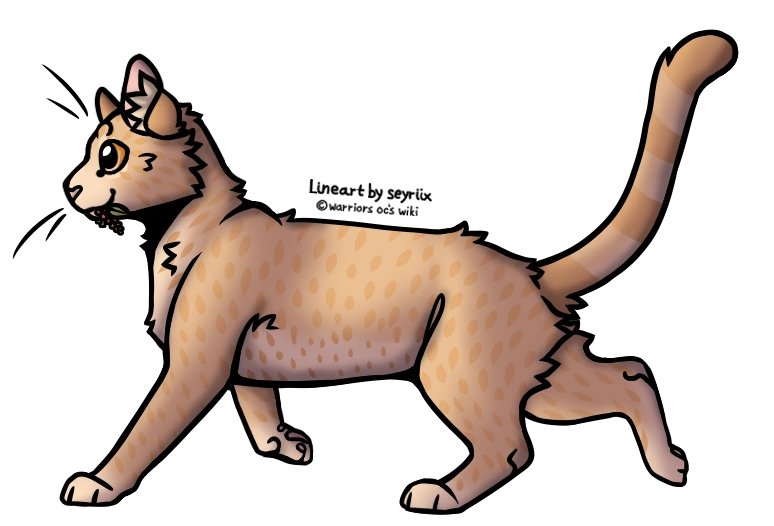 Whiskerpaw | Warriors OC's Wiki | Fandom