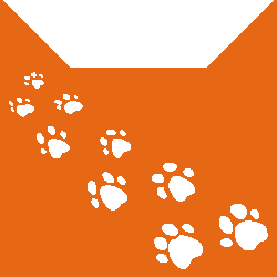 Ghost (LU) | Warriors OC's Wiki | Fandom