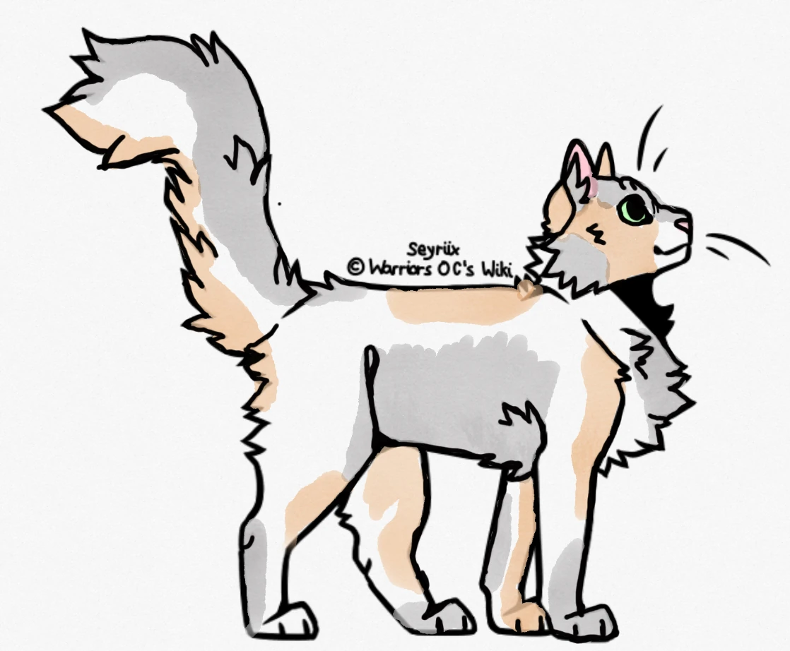 Willowdusk (WC) | Warriors OC's Wiki | Fandom