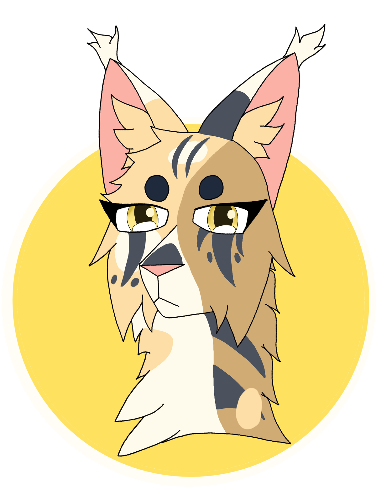Secretpaw | Warriors OC's Wiki | Fandom