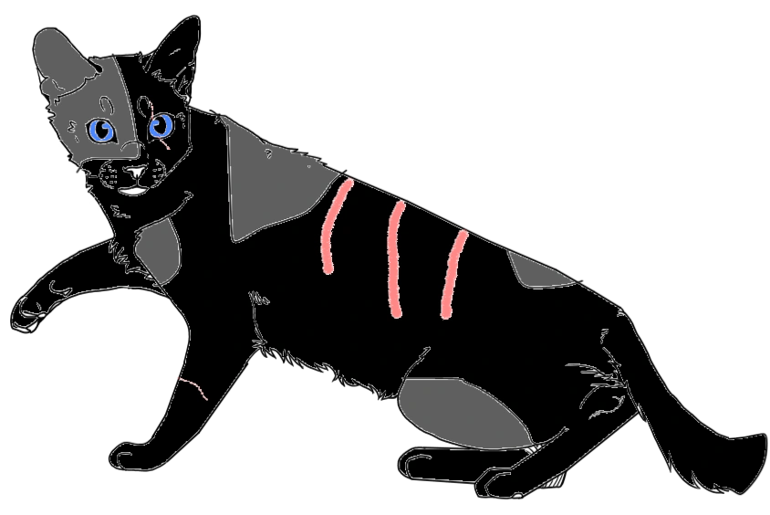 Moonslash | Warriors OC's Wiki | Fandom