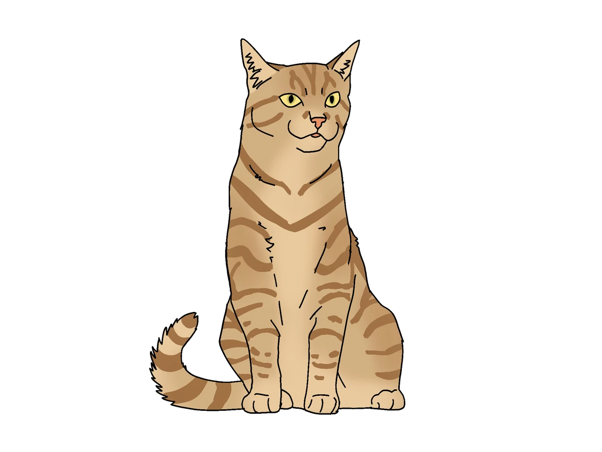 Sandstar (SotC) | Warriors OC's Wiki | Fandom