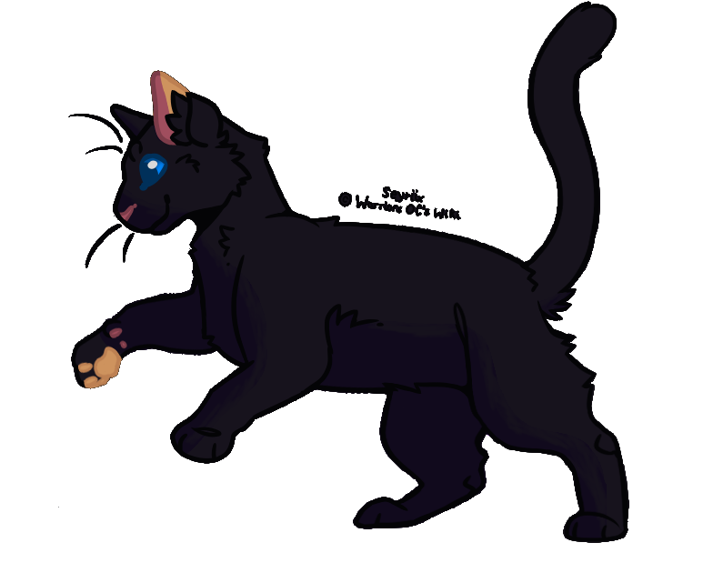 Darkwhistle (DN) | Warriors OC's Wiki | Fandom