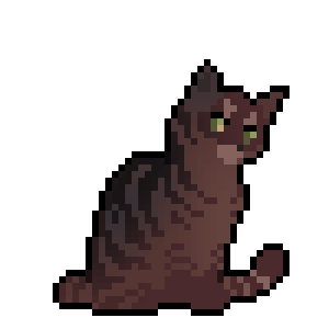 Lizardtail | Warriors OC's Wiki | Fandom