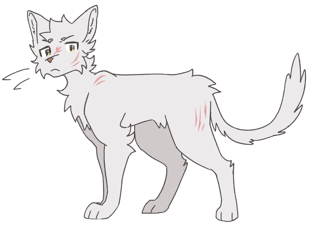 Whitestar (TWP) | Warriors OC's Wiki | Fandom