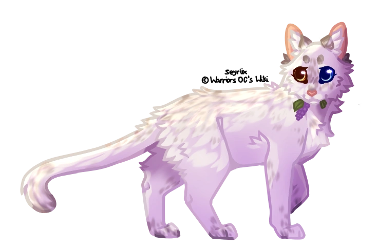 Dewskip (SotS) | Warriors OC's Wiki | Fandom