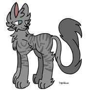 Stormtail (TC) | Warriors OC's Wiki | Fandom