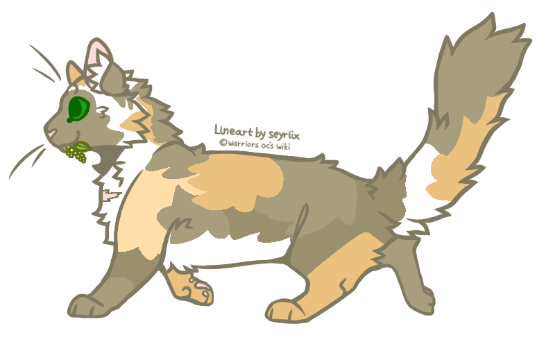 Woolpaw (ALD) | Warriors OC's Wiki | Fandom