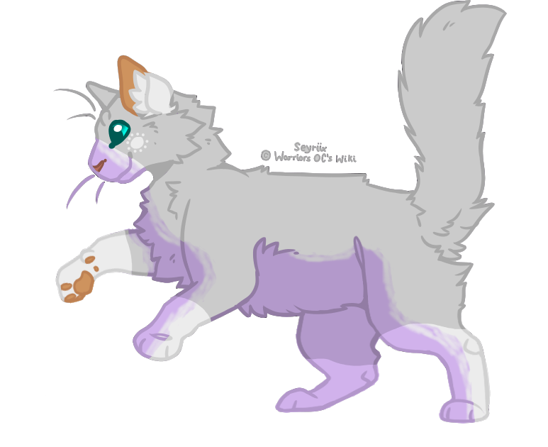 Blanksight | Warriors OC's Wiki | Fandom