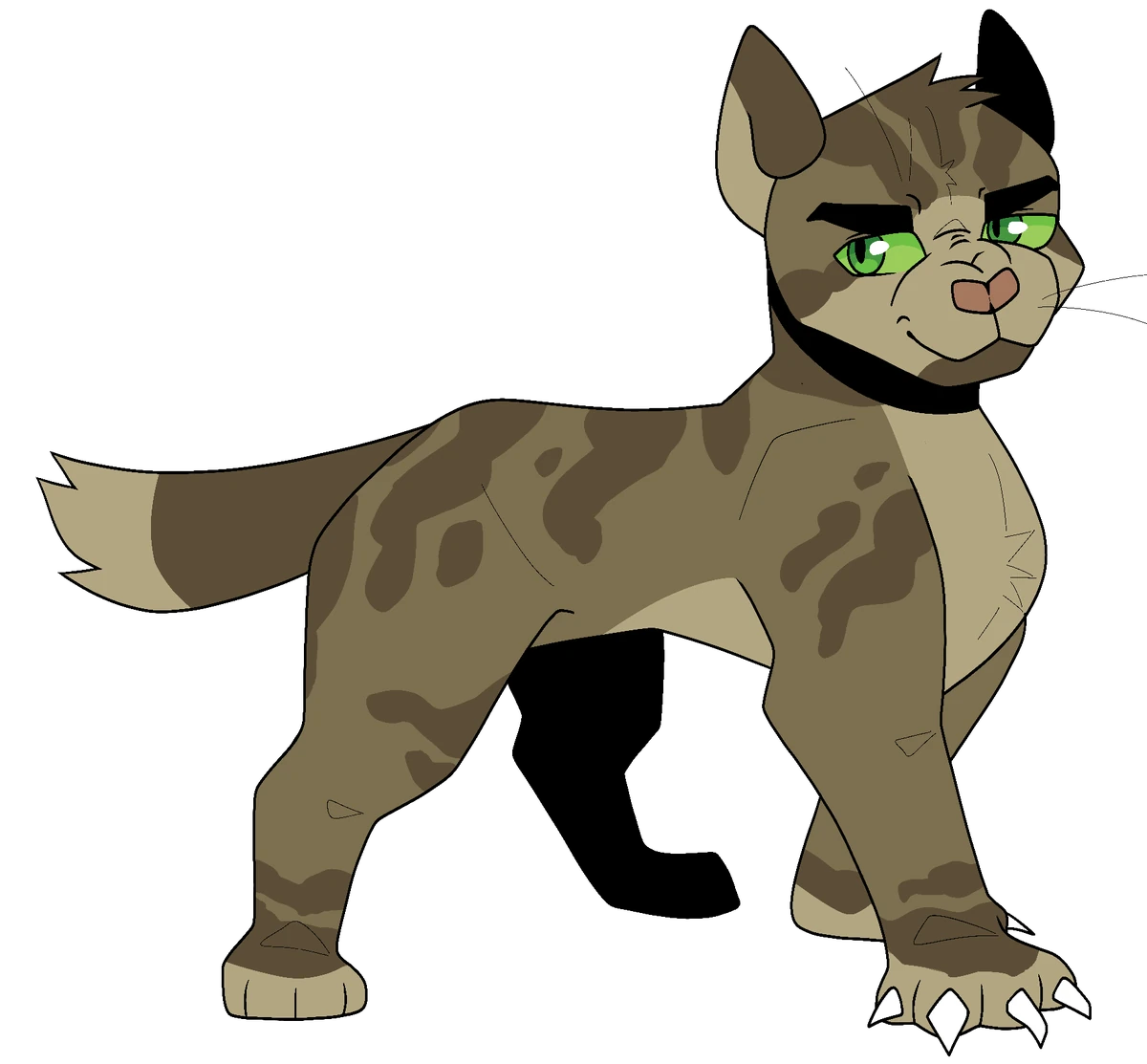 Hillstar (SG) | Warriors OC's Wiki | Fandom